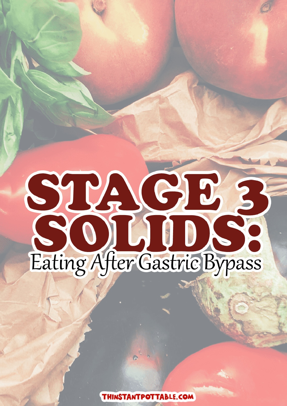Stage 3 Solids Gastric Bypass - The Instant Pot Table