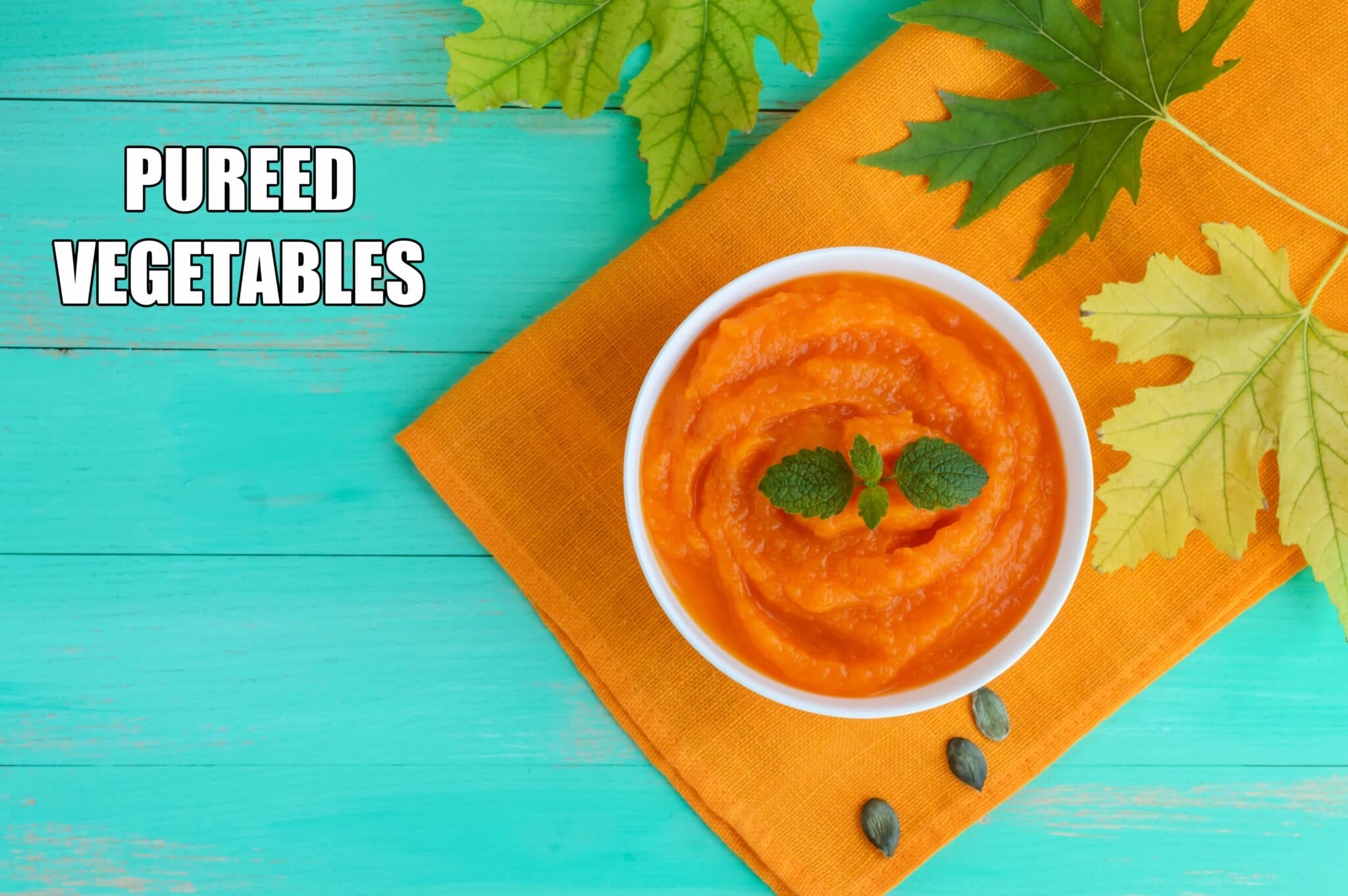 Best Guide to Pureed Food - The Instant Pot Table