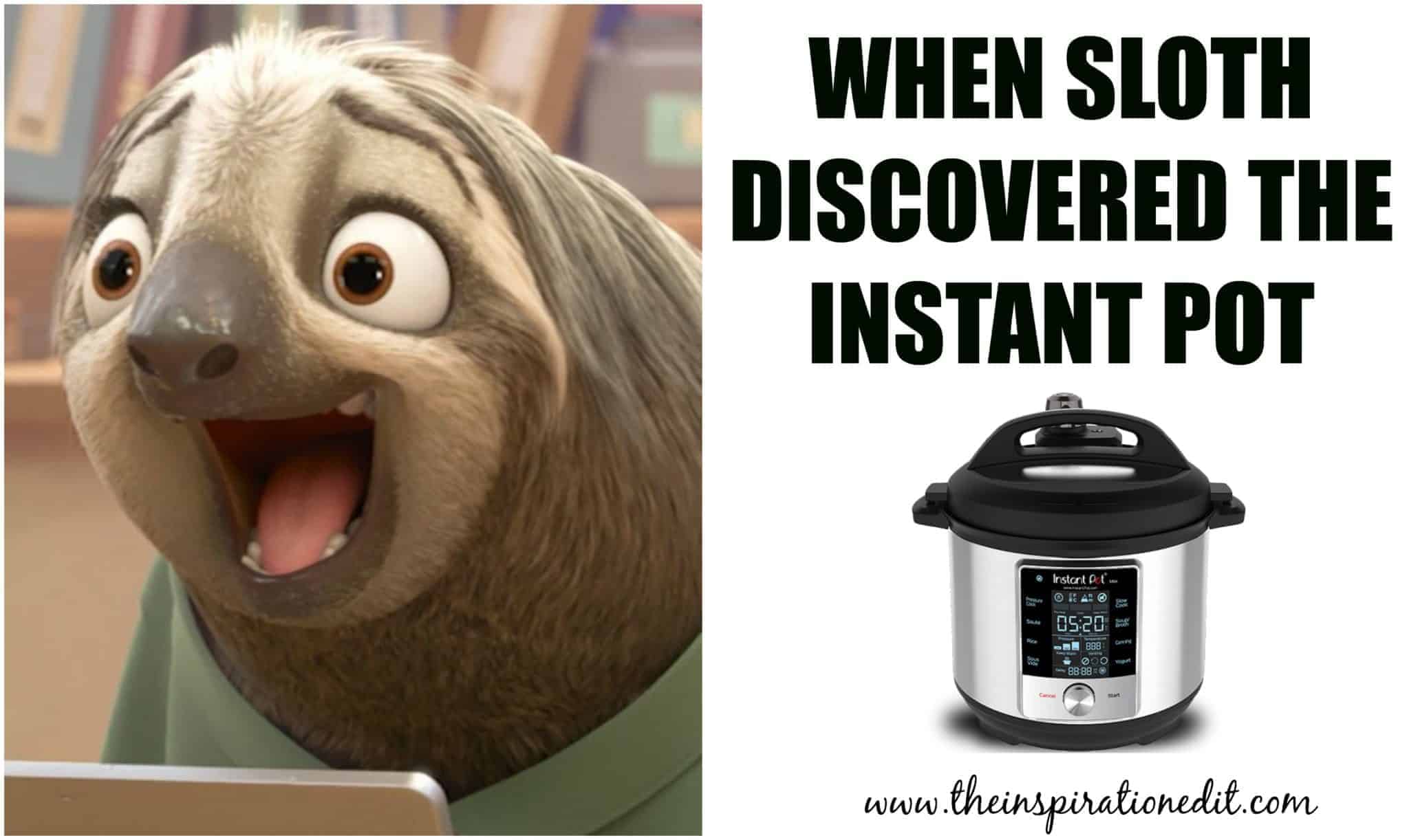 The Instant Pot Duo Plus And Instant Pot Cheat Sheet - The Instant Pot ...