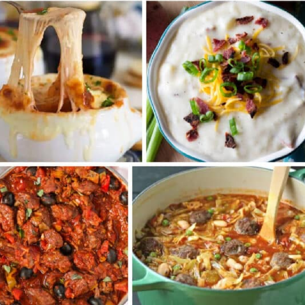 11+ Bariatric Puree Recipes You Will Love - The Instant Pot Table