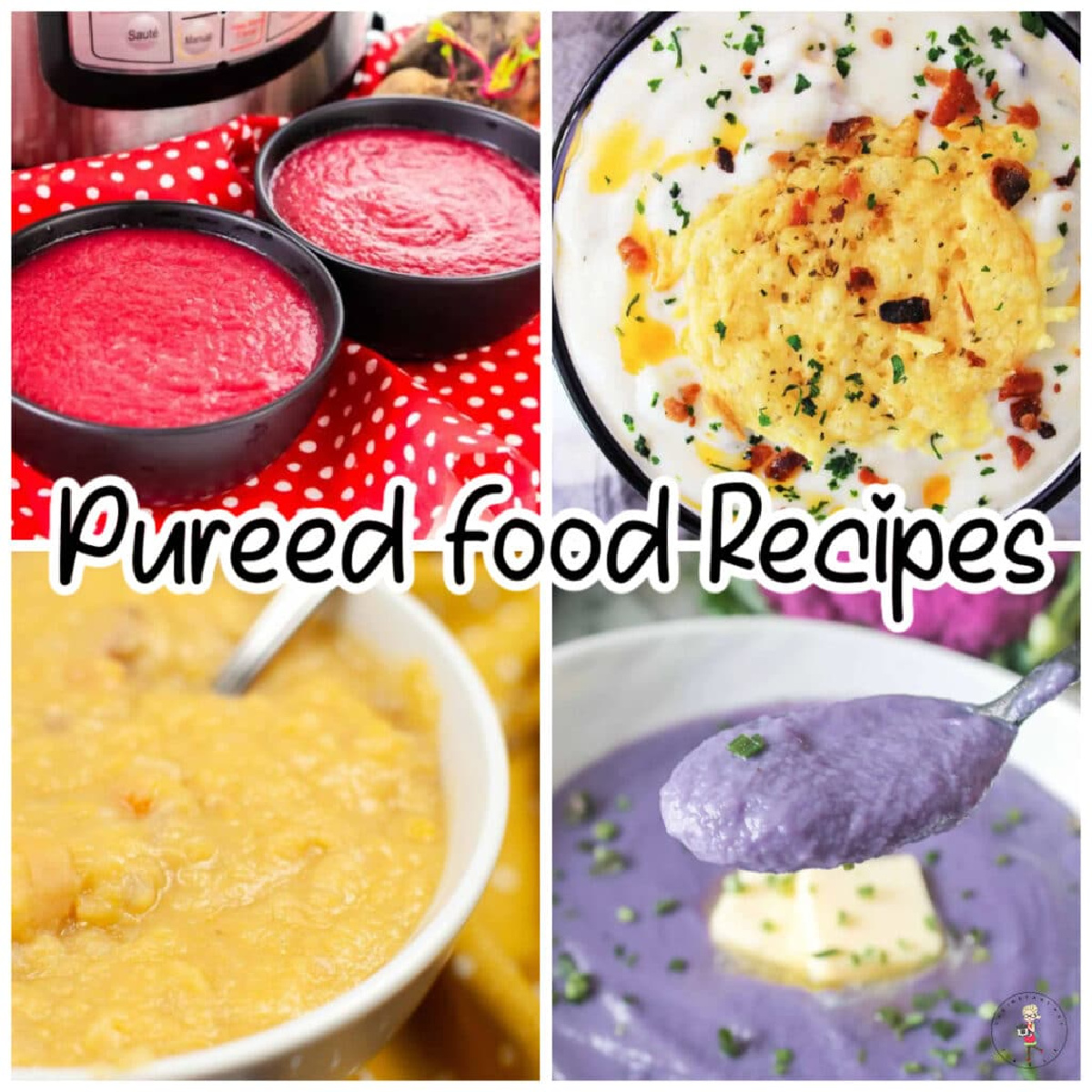 11+ Bariatric Puree Recipes You Will Love - The Instant Pot Table